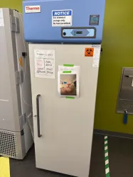 Thermo Revco -20°C Ultra-Low Temperature Laboratory Fre | QP