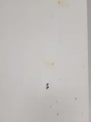 QP - Laboratory Isolation Table - White Lab