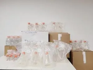 QP - Pallet of Corning Assorted Plastic Erlenmeyer Flasks 43114 431433 Mixed Sizes