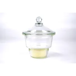 Duran Desiccator with Porcelain Plate 200mm | QP