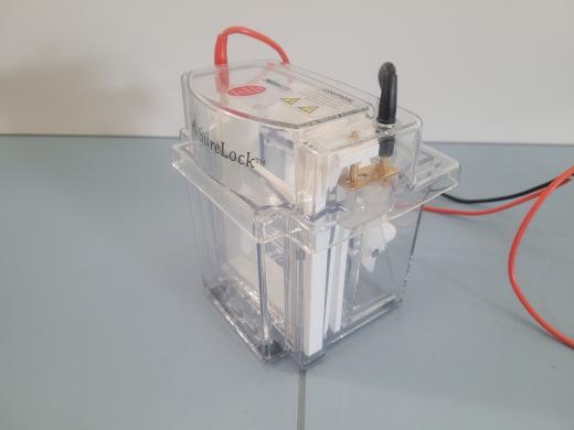 Invitrogen Novex Mini-Cell XCell SureLock Electrophores | QP