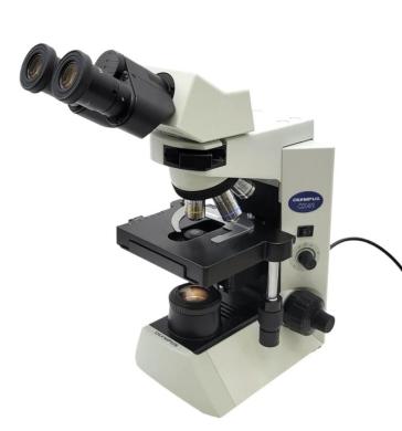 Olympus CX41 Upright Binocular Microscope with PlanC Ob | QP